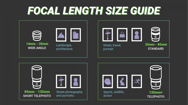 From Zero To Blender Camera Hero | MVARTZ